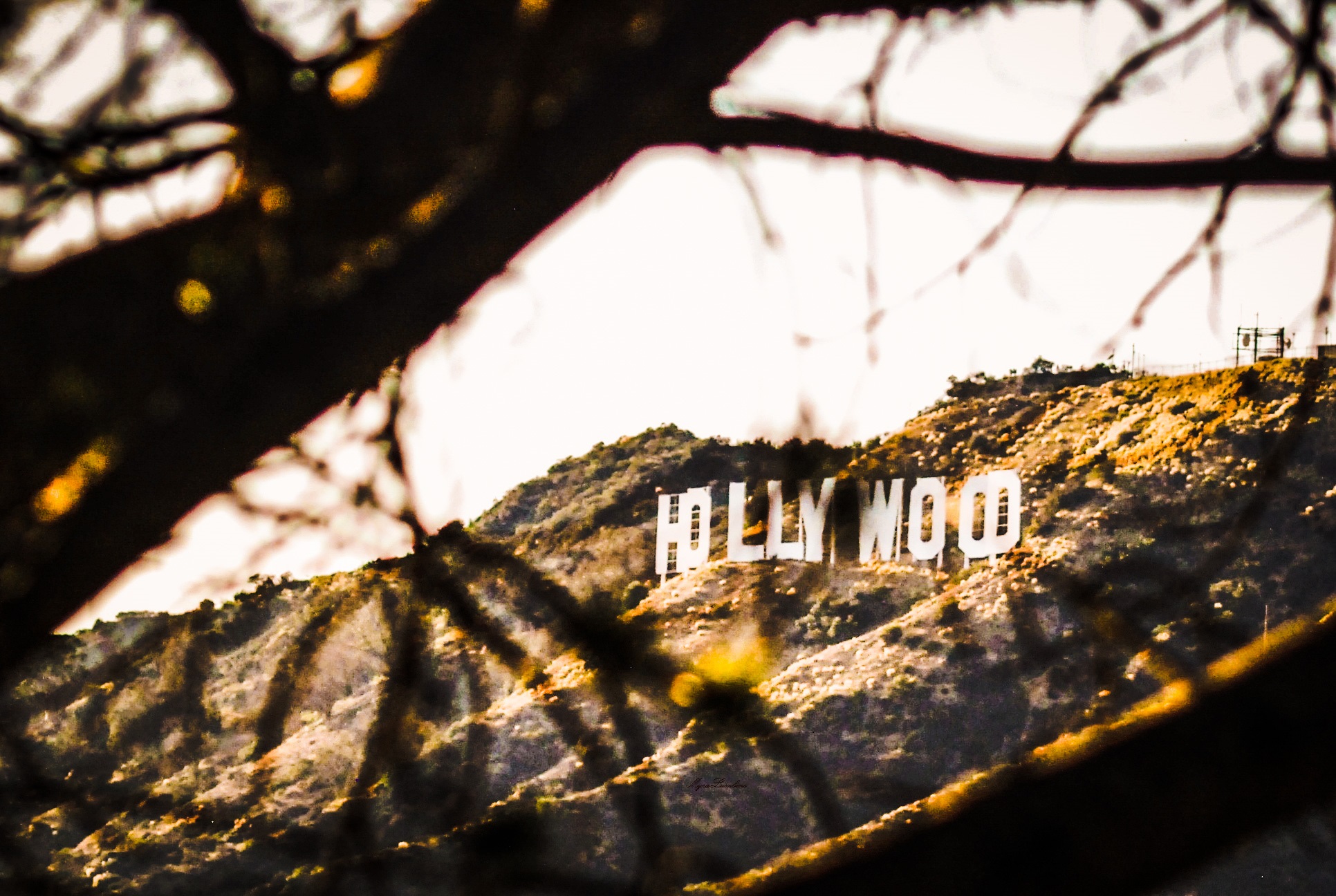 Oscars 2024 Livestream, here. To actors who study their craft: Because ...