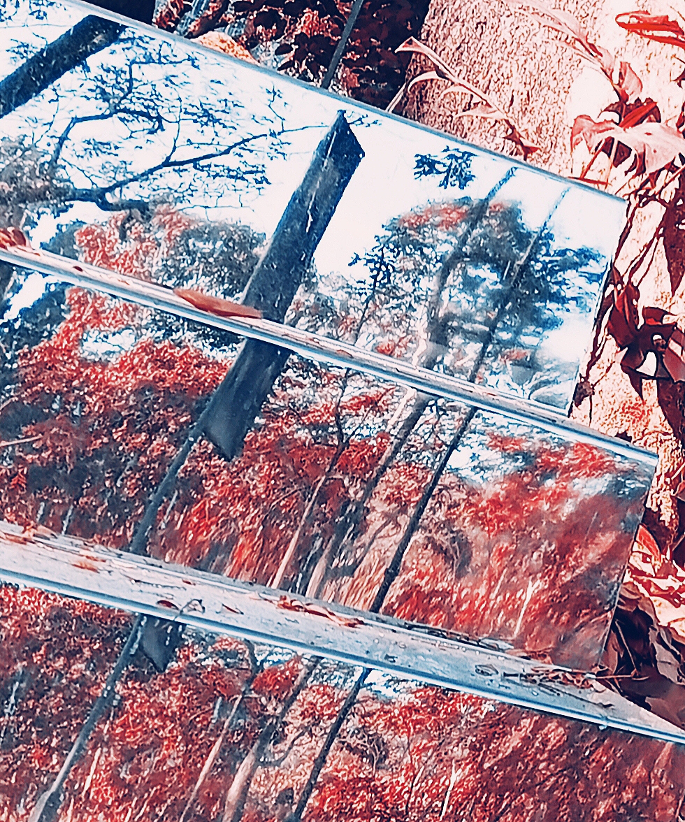 rows 🎢 … for beaus… and … 🤸Good morning! – marichulambino.com